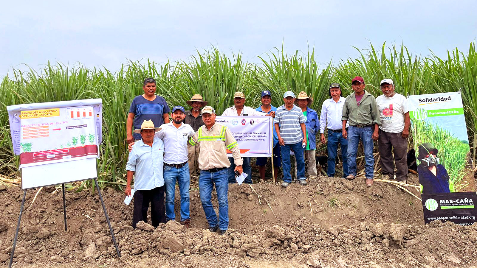 Home - Solidaridad Latam